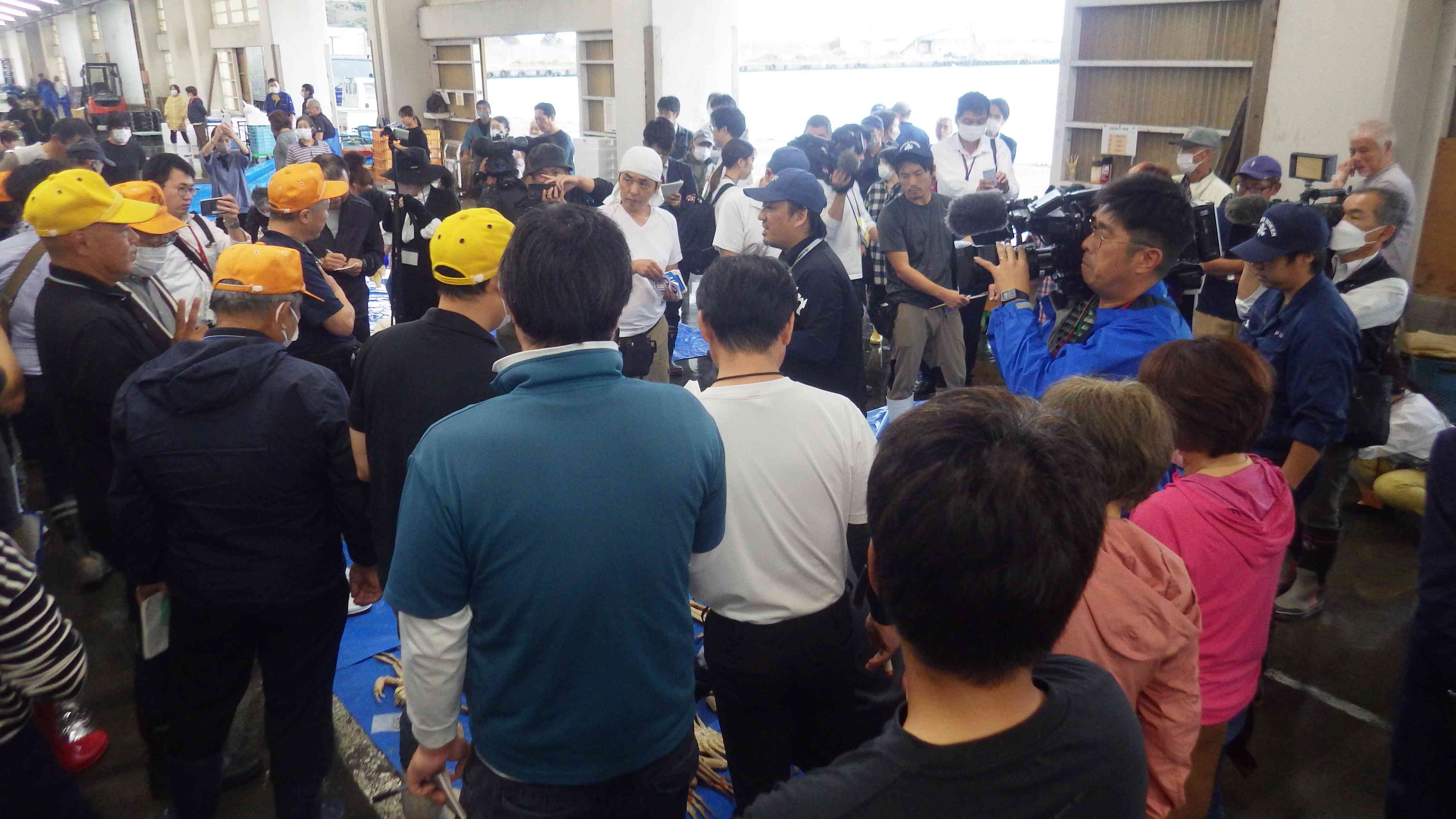 2023年11月6-7日（2023年ズワイガニ漁解禁時の市場調査）/とりネット/鳥取県公式サイト