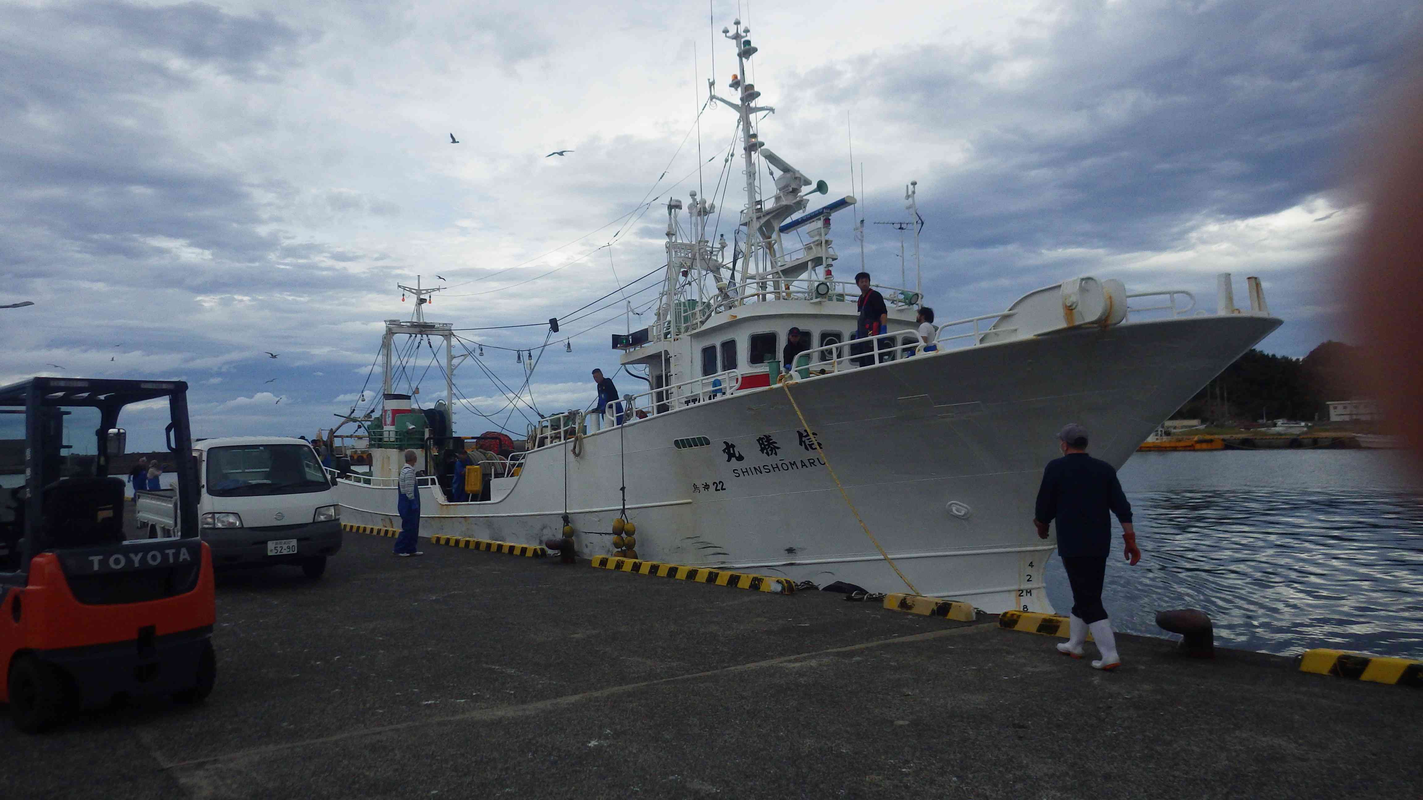 2023年11月6-7日（2023年ズワイガニ漁解禁時の市場調査）/とりネット/鳥取県公式サイト
