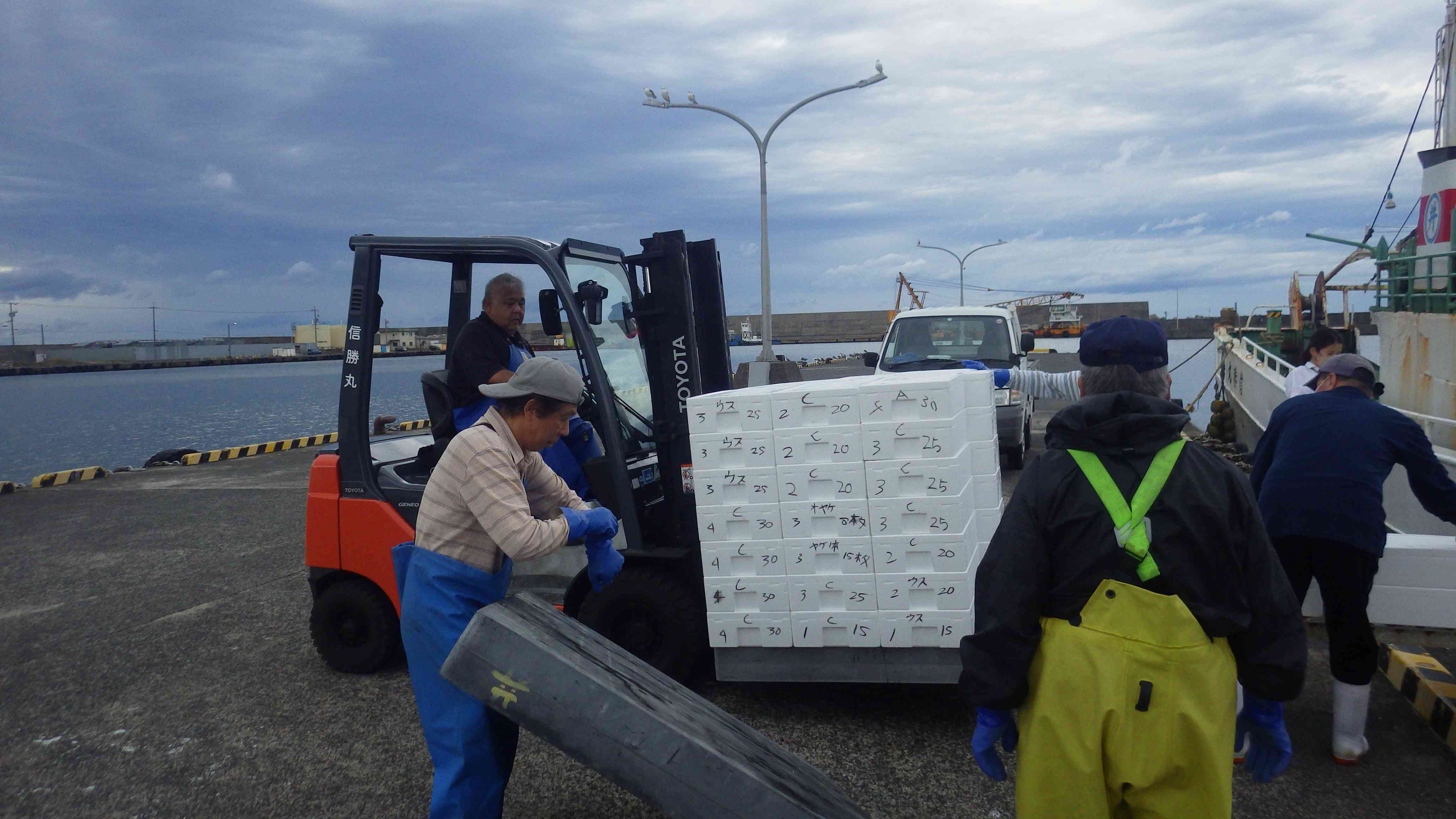 2023年11月6-7日（2023年ズワイガニ漁解禁時の市場調査）/とりネット/鳥取県公式サイト